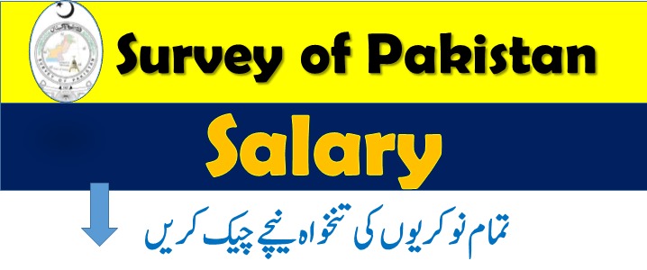SURVEY OF PAKISTAN SALARY 2022