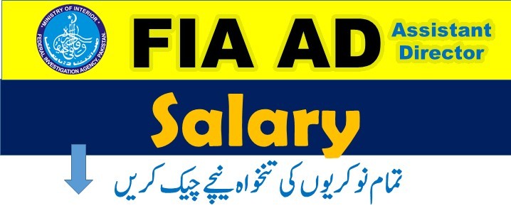 Salary