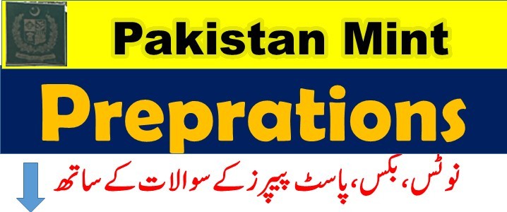Pakistan MINT Syllabus, Past Papers 2023.