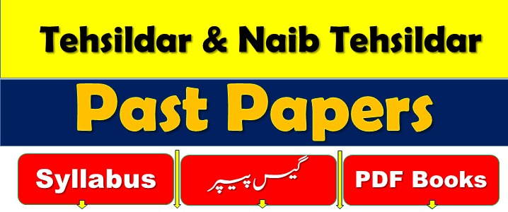 Get Tehsildar and Naib Tehsildar Past Papers